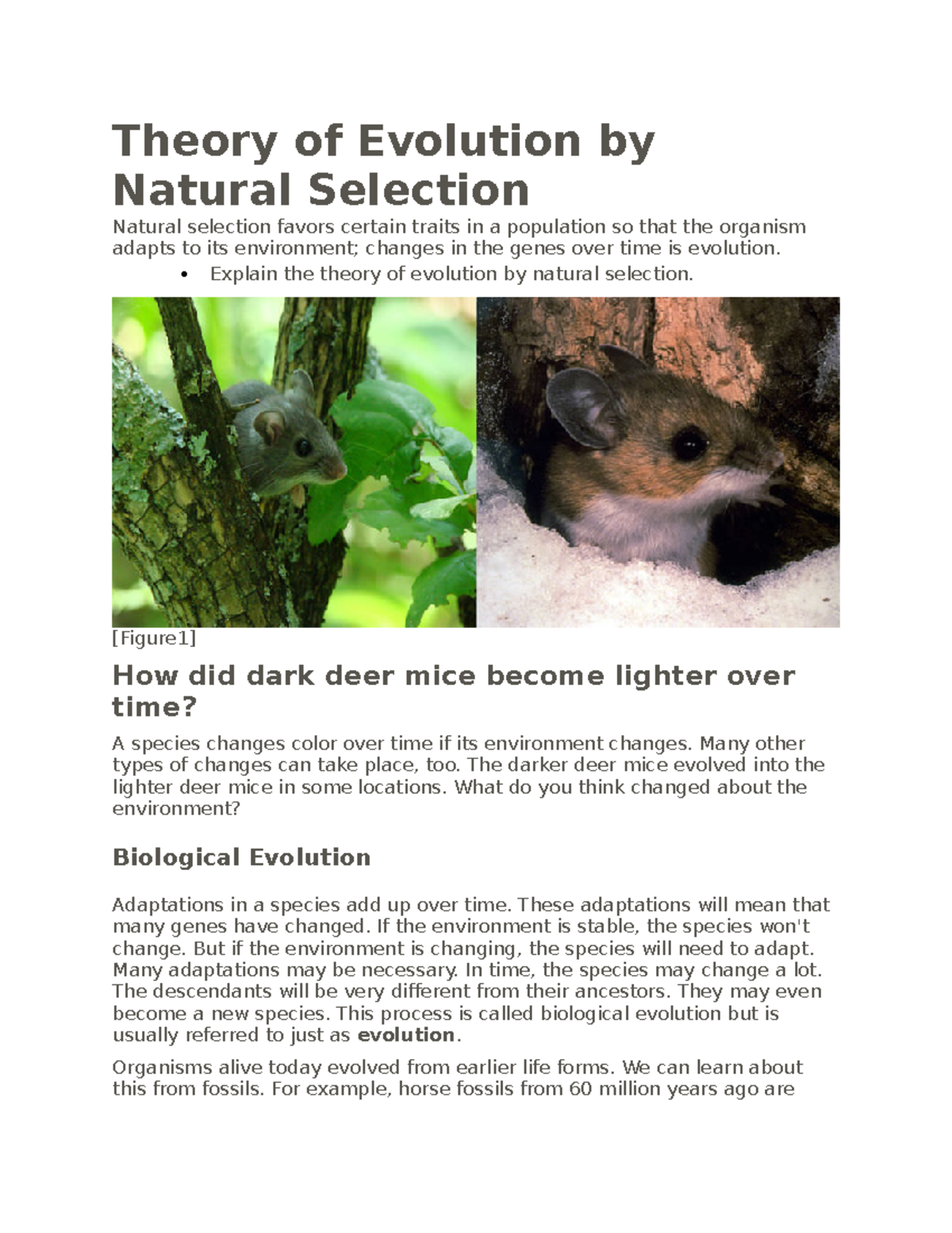Biology study guide part 31 - Theory of Evolution by Natural Selection ...