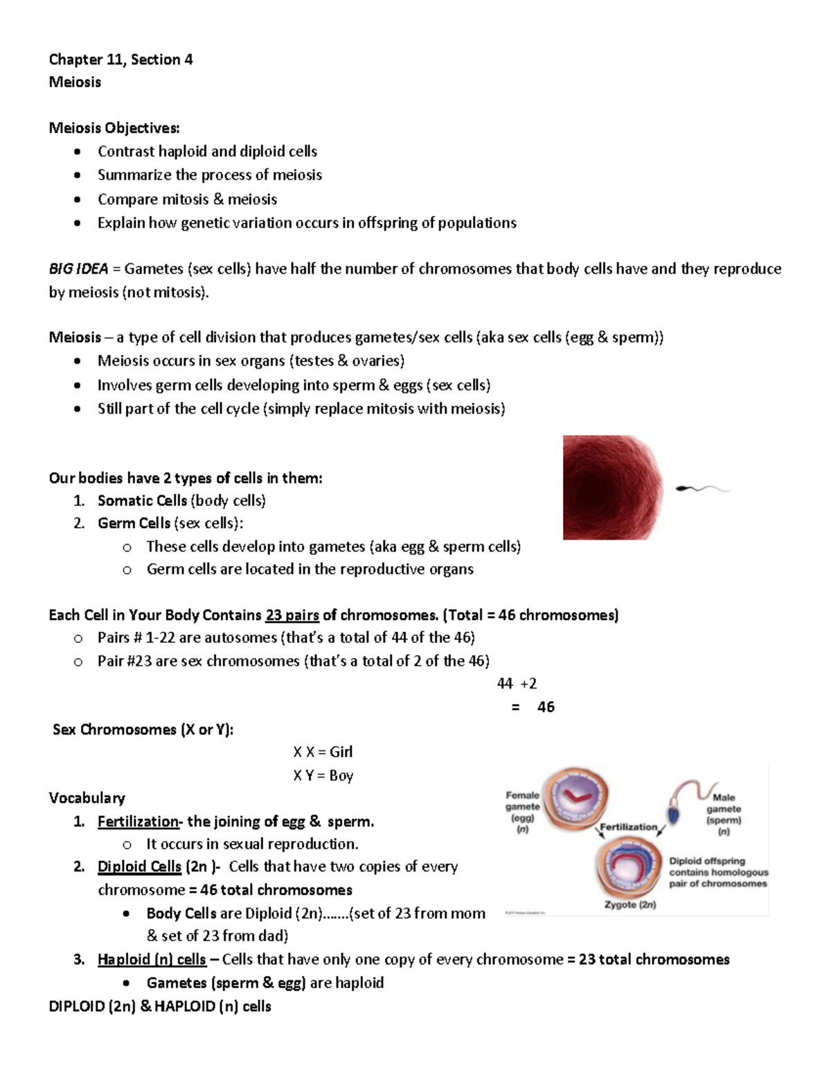 Chapter 11.4 Lecture Notes - Chapter 11, Section 4 Meiosis Meiosis ...