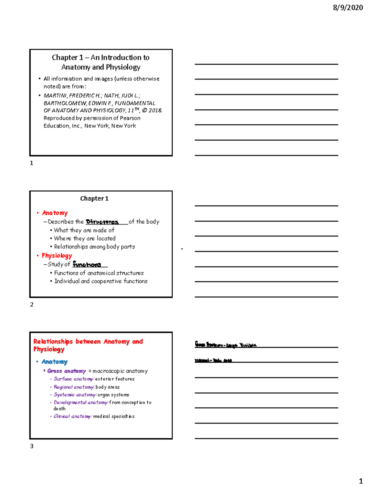 Ch 1- Intro To A - P - Notes for chapter 1. - Chapter 1 –An ...