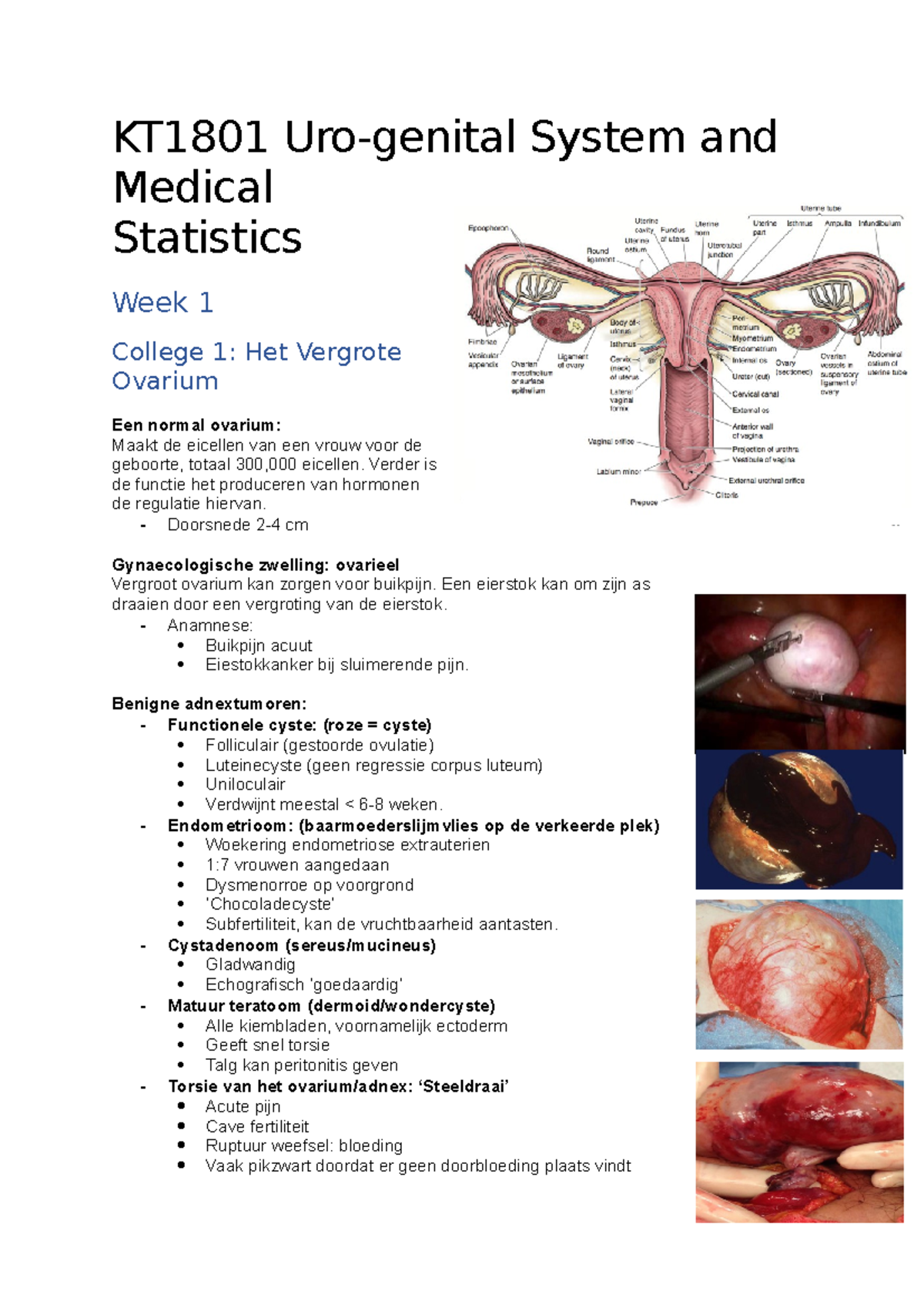 KT1801 Uro - KT1801 Uro-genital System and Medical Statistics Week 1 ...