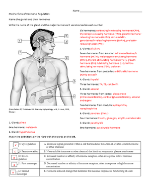 Sterile dressing - lab skills - PERFORMANCE REVIEW CHECKLIST Procedure ...