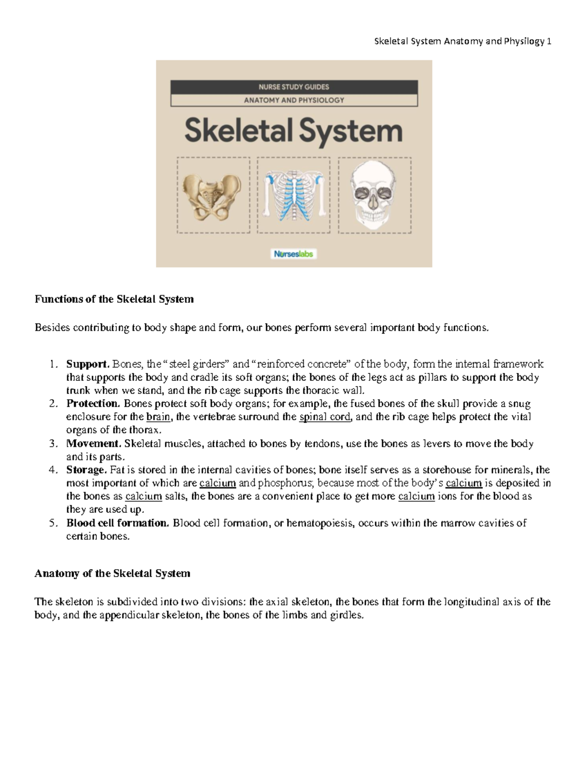 Nurseslabs~Skeletal System Anatomy and Physiology - Functions of the ...