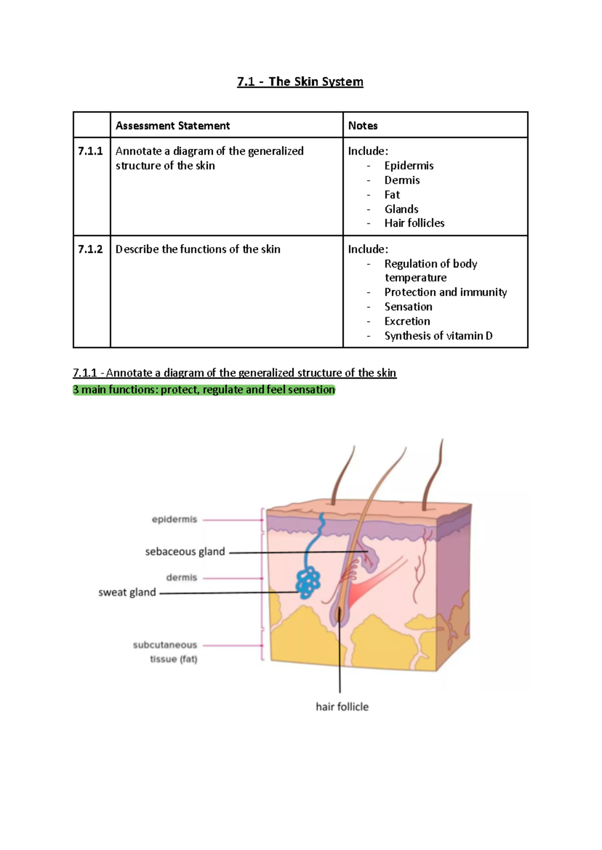Sports health hl notes - 7. 1 - The Skin System Assessment Statement ...