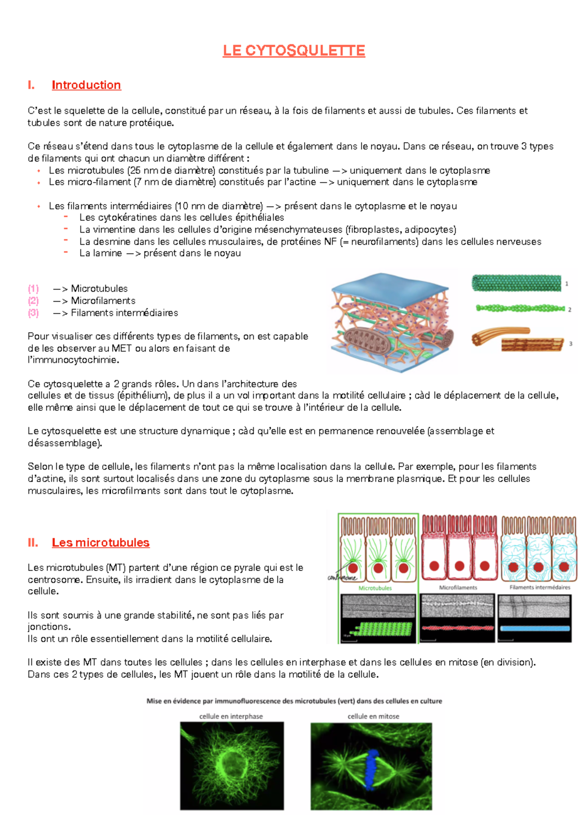 Cytosquelette - LE CYTOSQULETTE I. Introduction C’est le squelette de ...