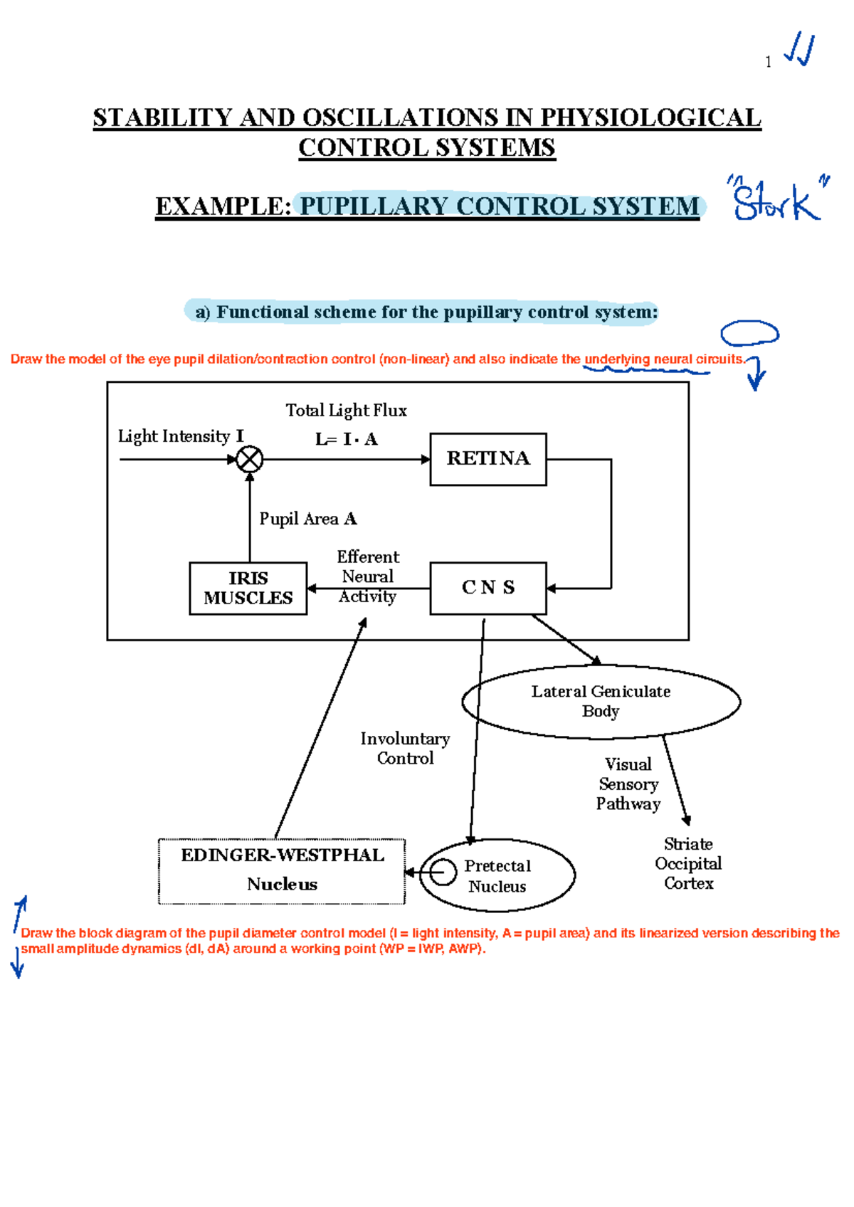 13 CL Stability Examples Pupil Dilation Chemoreflex Control of CO2 ...