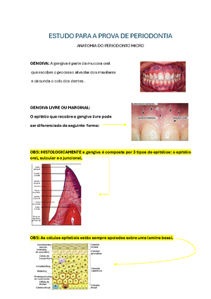Anatomia Periodontal - ESTUDO PARA A PROVA DE PERIODONTIA INTRODUÇÃO A ...
