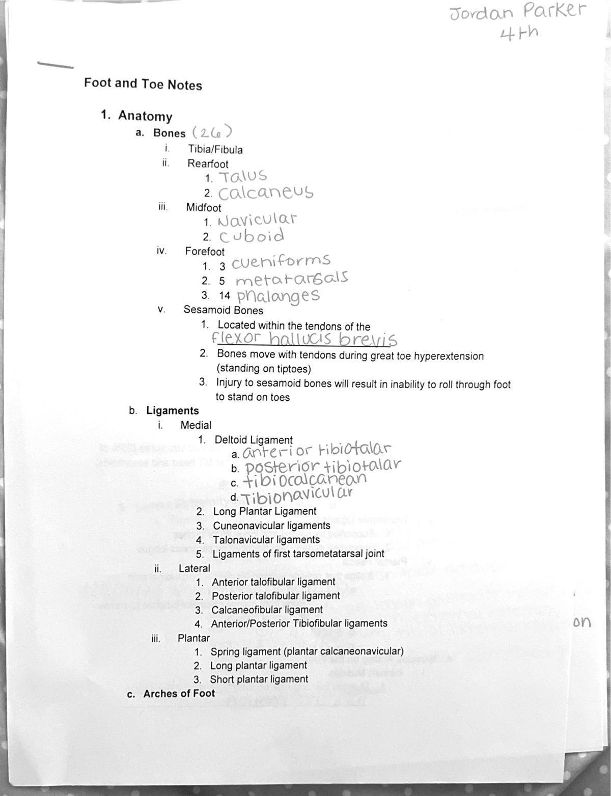 Foot And Toes Pt2 - anatomy of the foot/toes and injuries - KIN 3303 ...