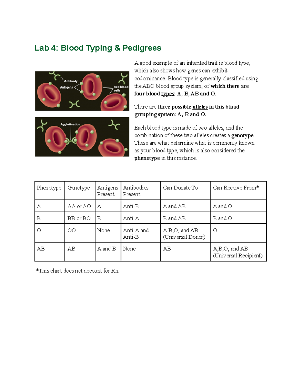 Annotated-Lab%20Exercise%20U1 Part%204%20Blood%20Typing%20%26 ...