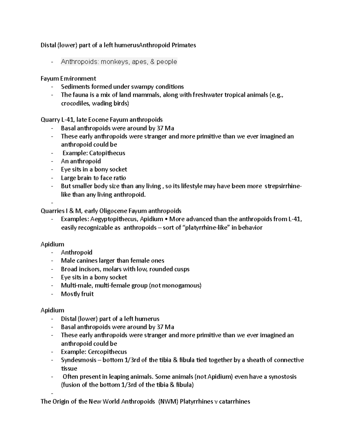 Anthropoid primates - Distal (lower) part of a left humerusAnthropoid ...