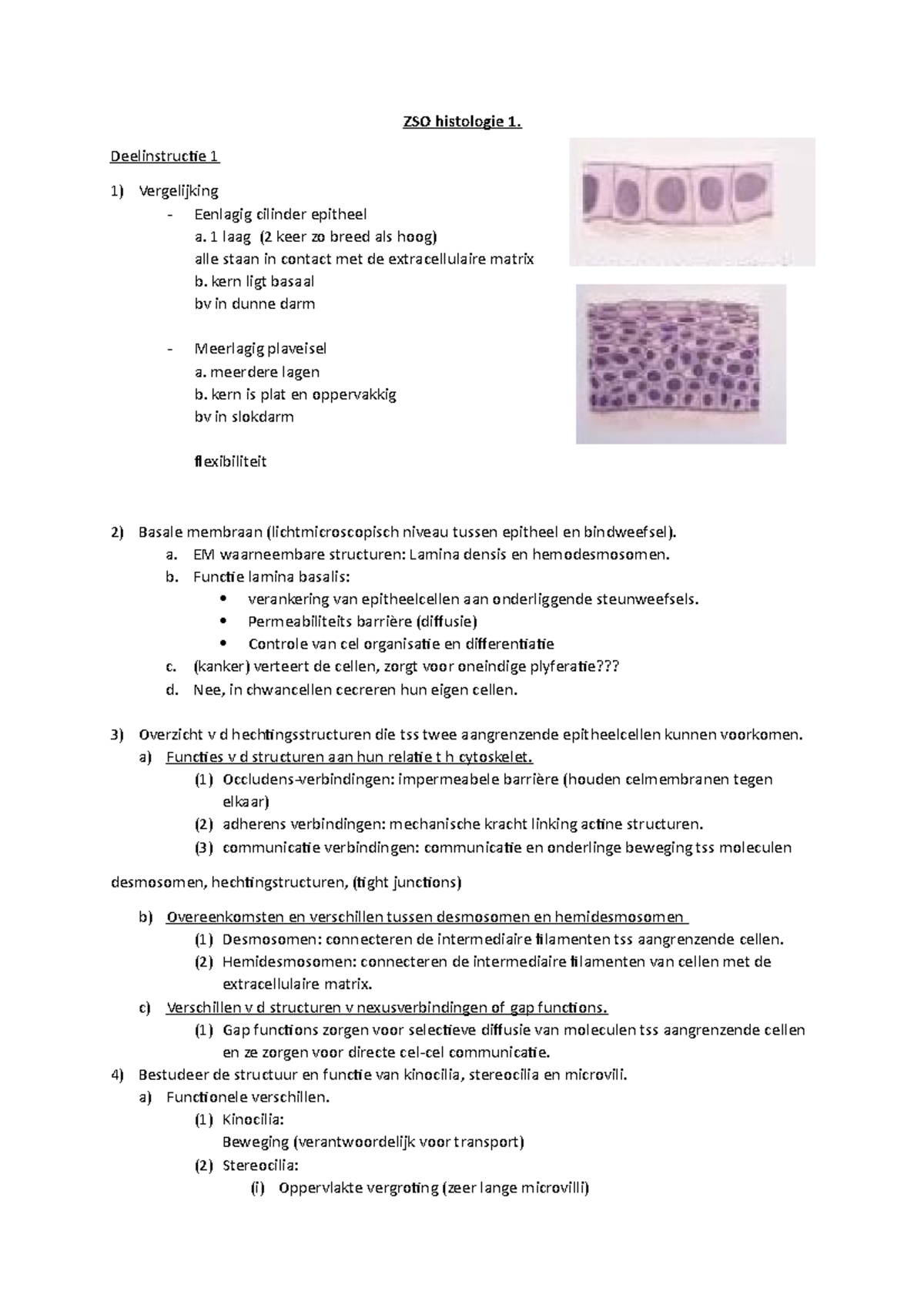 ZSO histologie 1 - Deelinstructie 1 Vergelijking Eenlagig cilinder ...