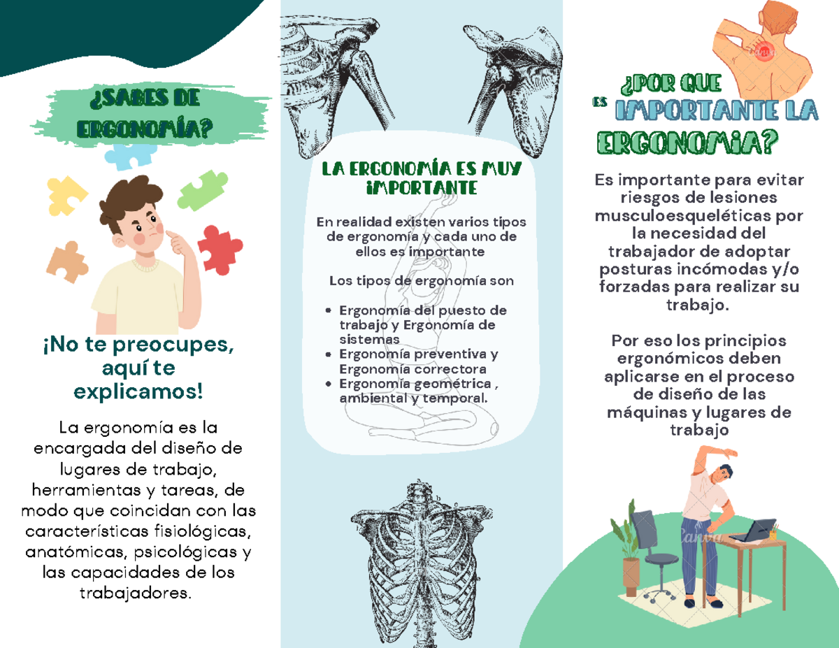 Evidencia GA2-230101507- AA4-EV01: Folleto de lesiones más comunes en el trabajo o vida ...