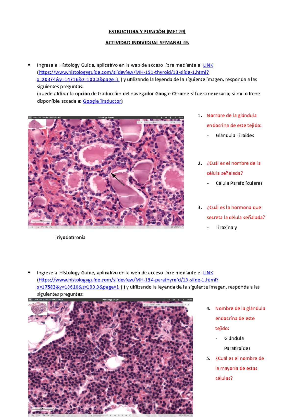 Tarea 5 EF - ESTRUCTURA Y FUNCIÓN (ME129) ACTIVIDAD INDIVIDUAL SEMANAL ...