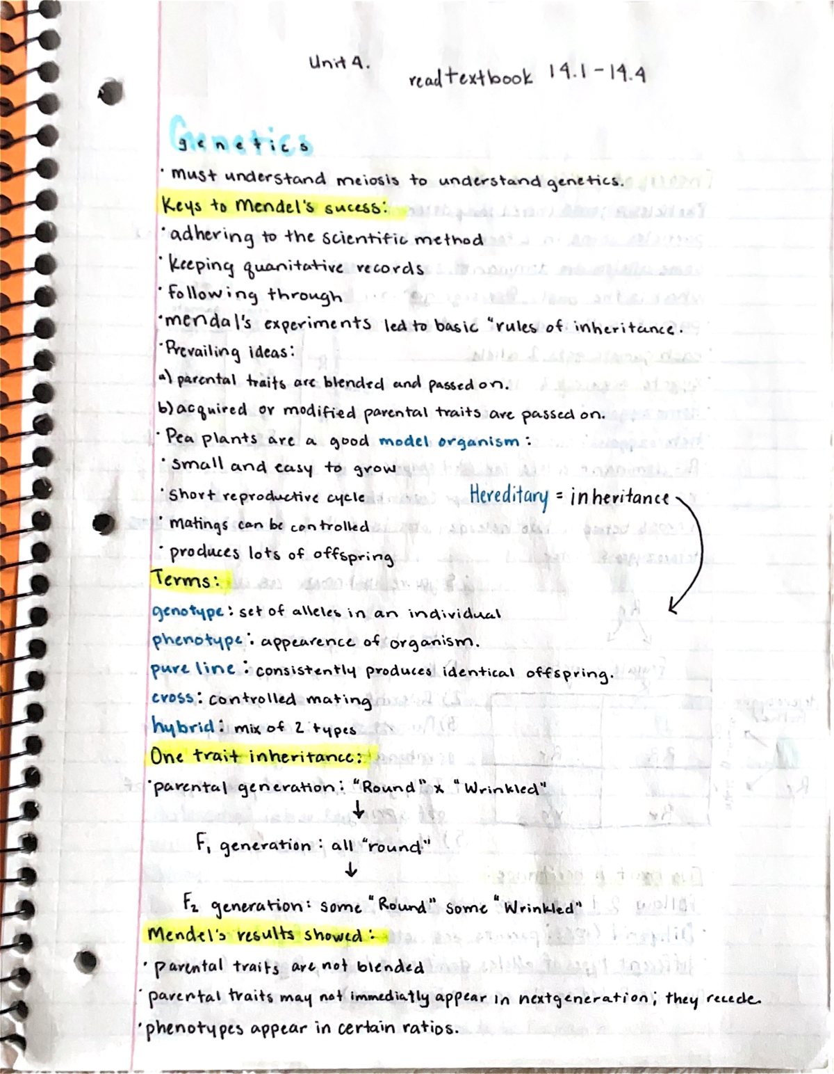Genetics lecture notes - 213 - Studocu