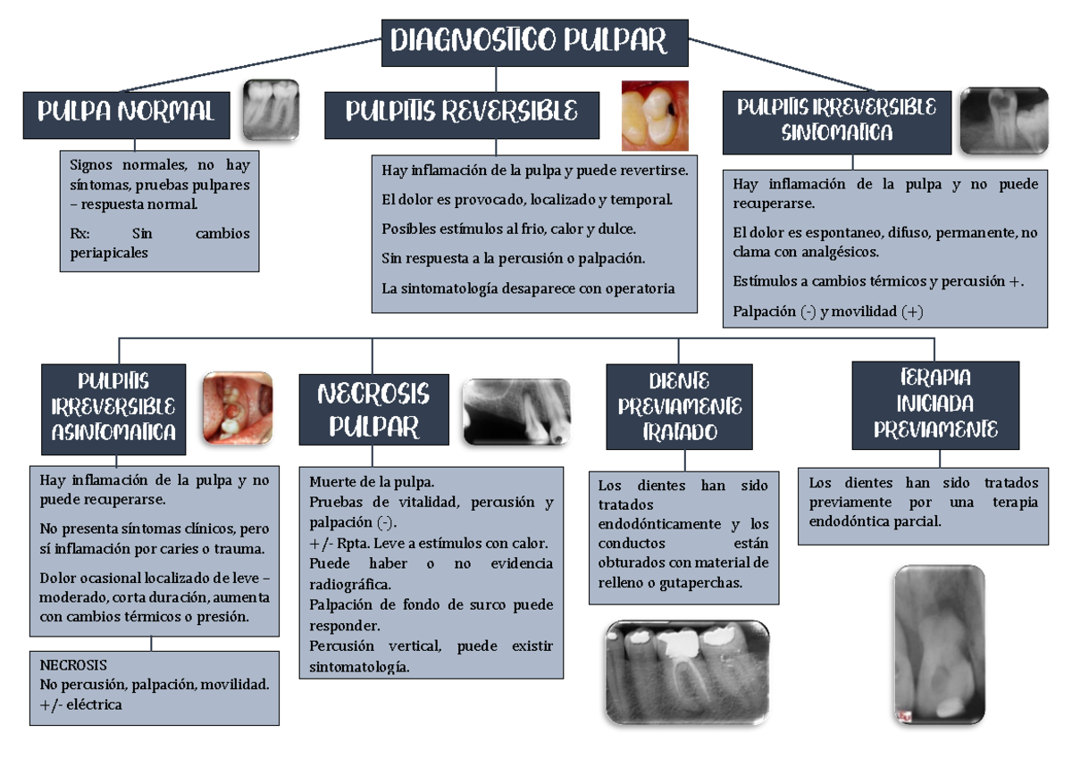 ENDO - Curso de endodoncia - Signos normales, no hay síntomas, pruebas ...