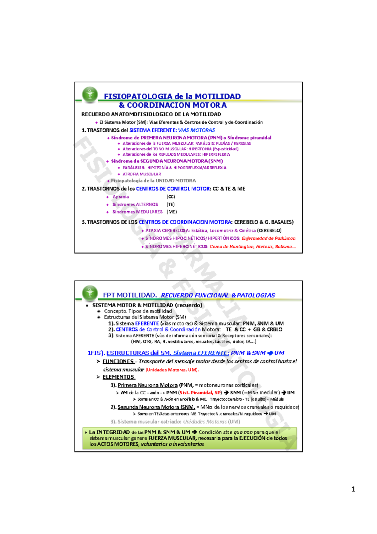 Tema 27. Fisiopatologia DE LA Motilidad Y LA Coordinacion Motora ...