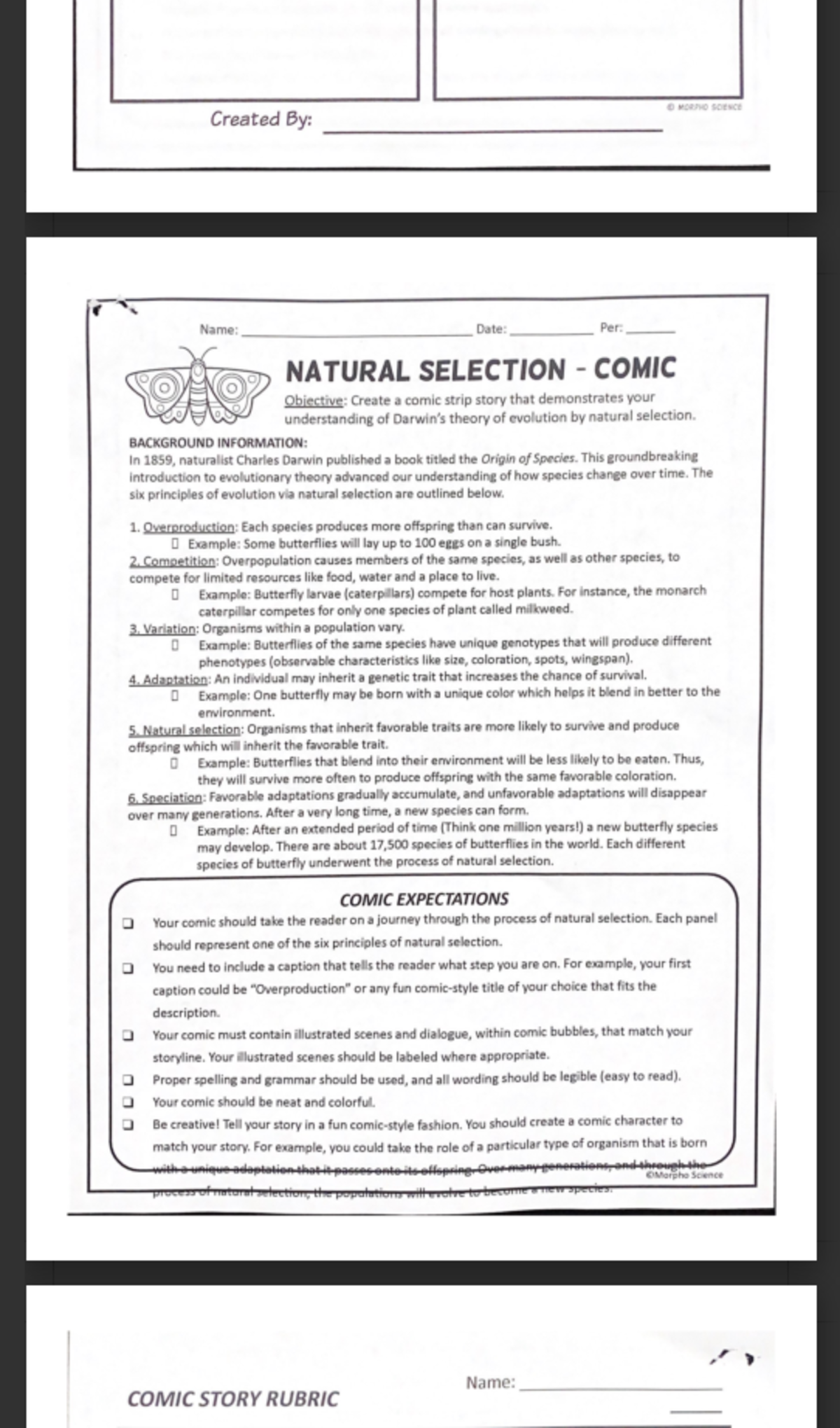 Natural Selection Comic Strip - Google Drive - Page 2 of Page 3 of ...