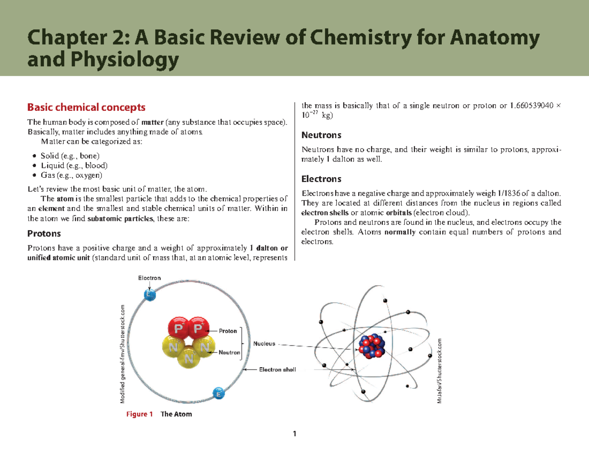 Anatomy and Physiology 01E Ch02 2PP-3 - Chapter 2: A Basic Review of ...