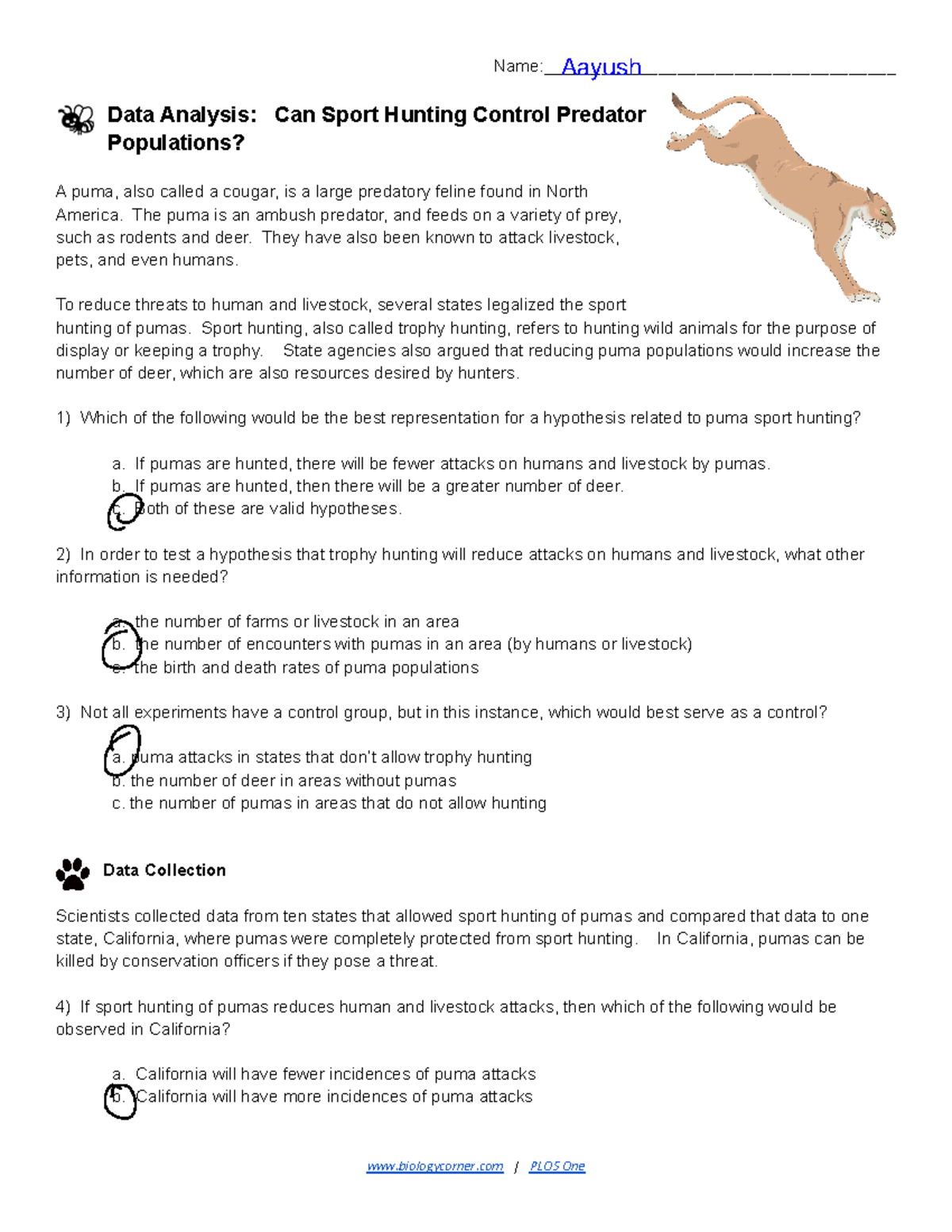 Data Analysis Can Sport Hunting Control Predator Populations - - Studocu