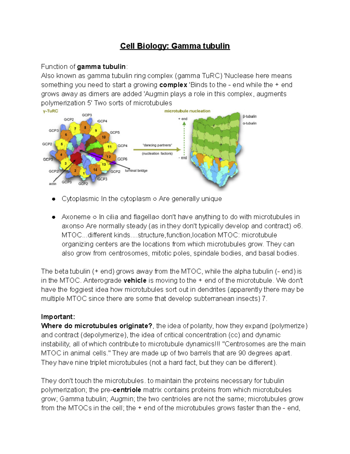 Cell Biology Gamma tubulin - Cell Biology: Gamma tubulin Function of gamma tubulin: Also known ...
