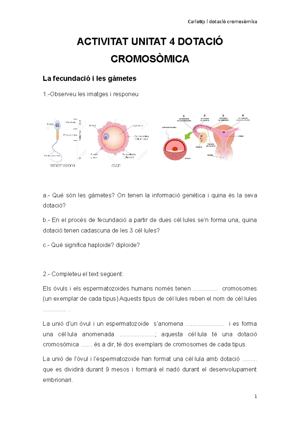 Cariotip - ,kkjgu - Cariotip i dotació cromosòmica ACTIVITAT UNITAT 4 ...