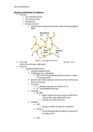 Groin Flap Coverage of the Hand and Wrist - 9/12/2018 Groin Flap ...