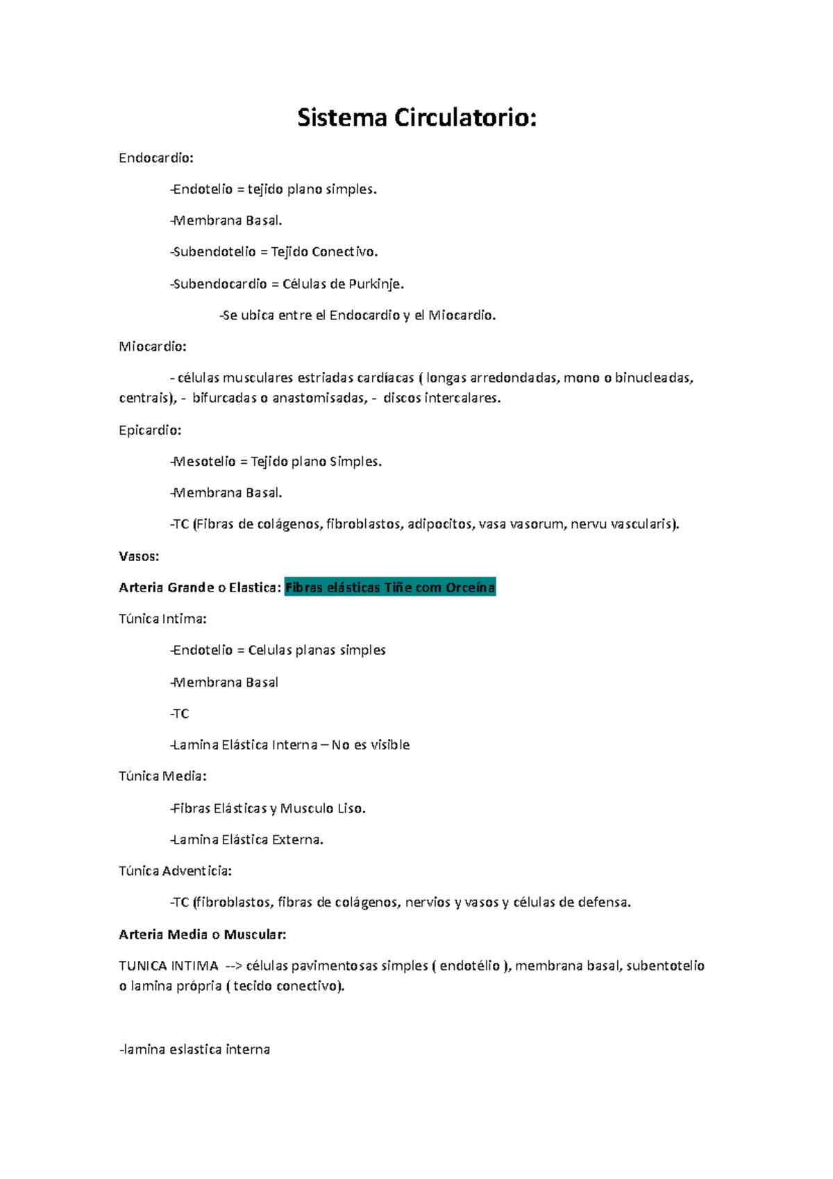 Sistema Circulatorio - Sistema Circulatorio: Endocardio:-Endotelio ...