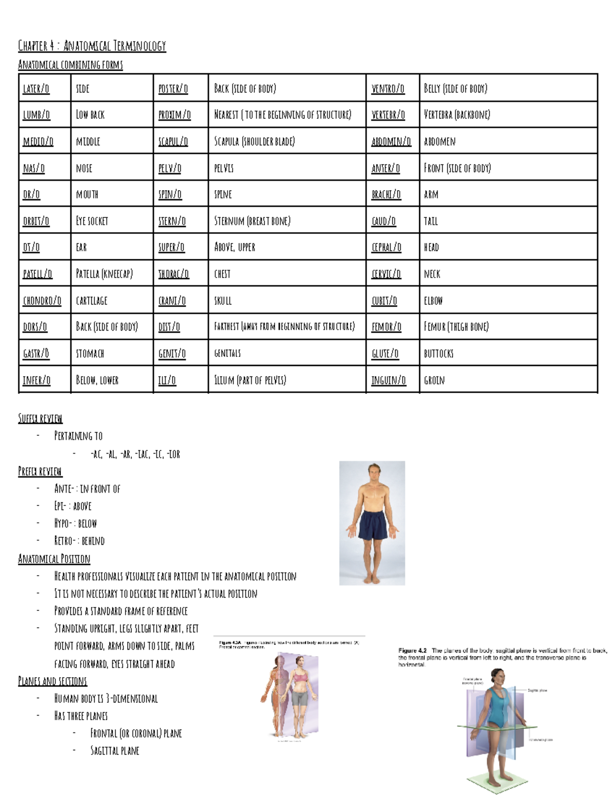Med Term Ch 4 + 3 - chapter 3 and 4 quiz review - MEDICAL TERMINOLOGY ...