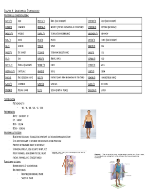 Med Term Ch 14 - Chapter 14!! - MEDICAL TERMINOLOGY - Neurology ...
