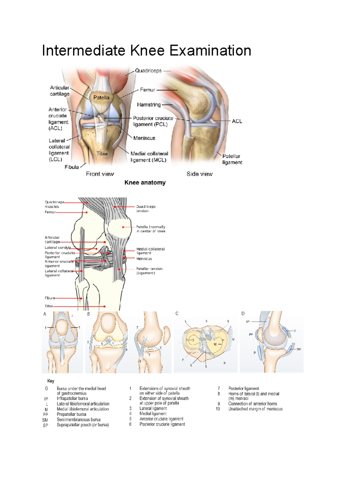 Intermediate Knee Examination - Intermediate Knee Examination Revision ...