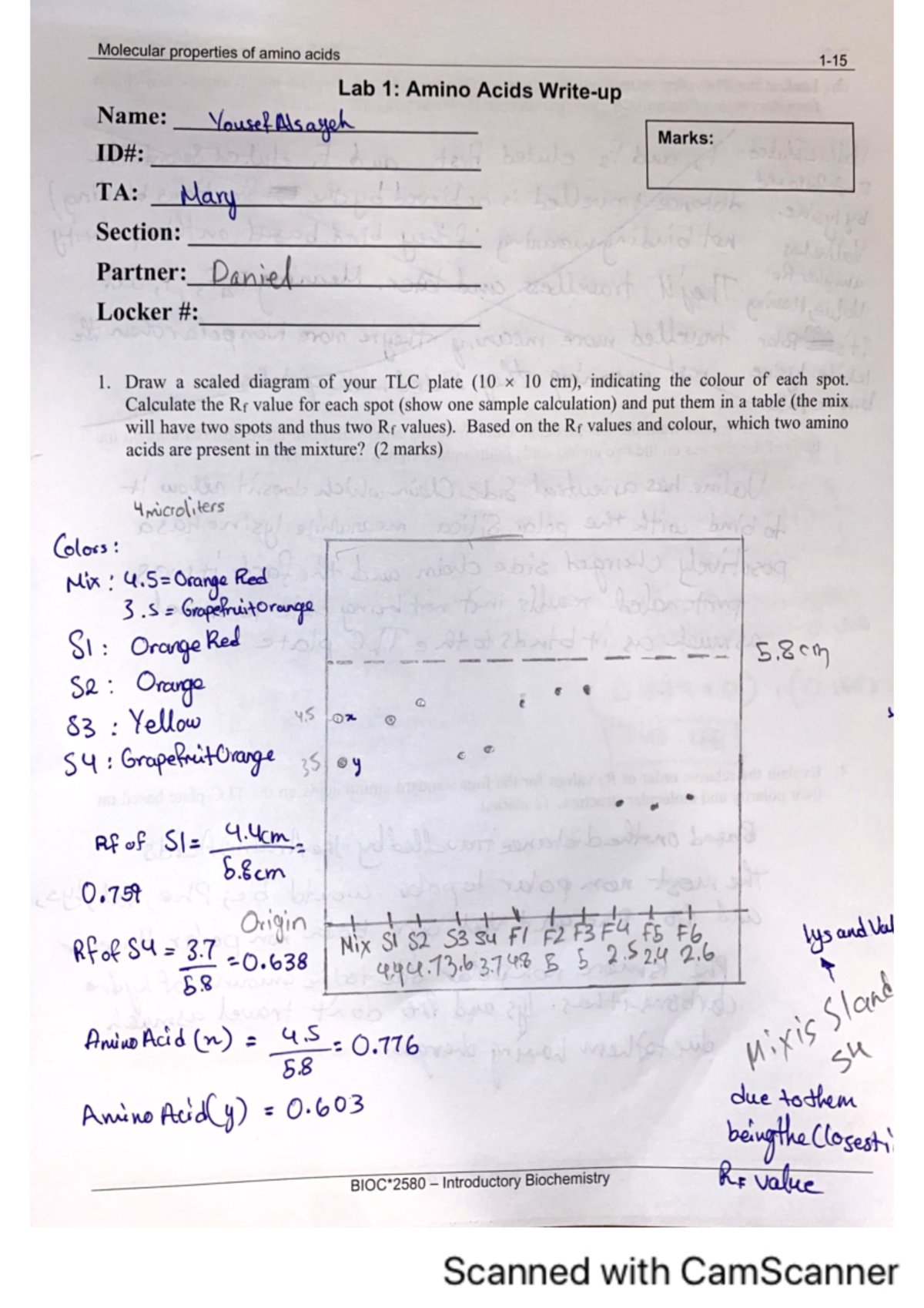 Lab 1 biochemistry 2580 write up - BIOC 2580 - Studocu