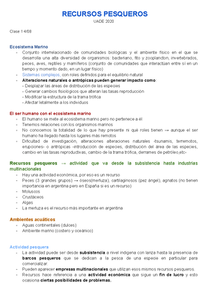 Recursos Pesqueros - RECURSOS PESQUEROS ECOSISTEMA MARINO → conjunto de ...