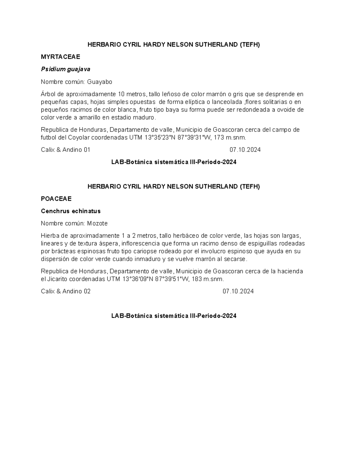 Fichas botanicas - HERBARIO CYRIL HARDY NELSON SUTHERLAND (TEFH ...