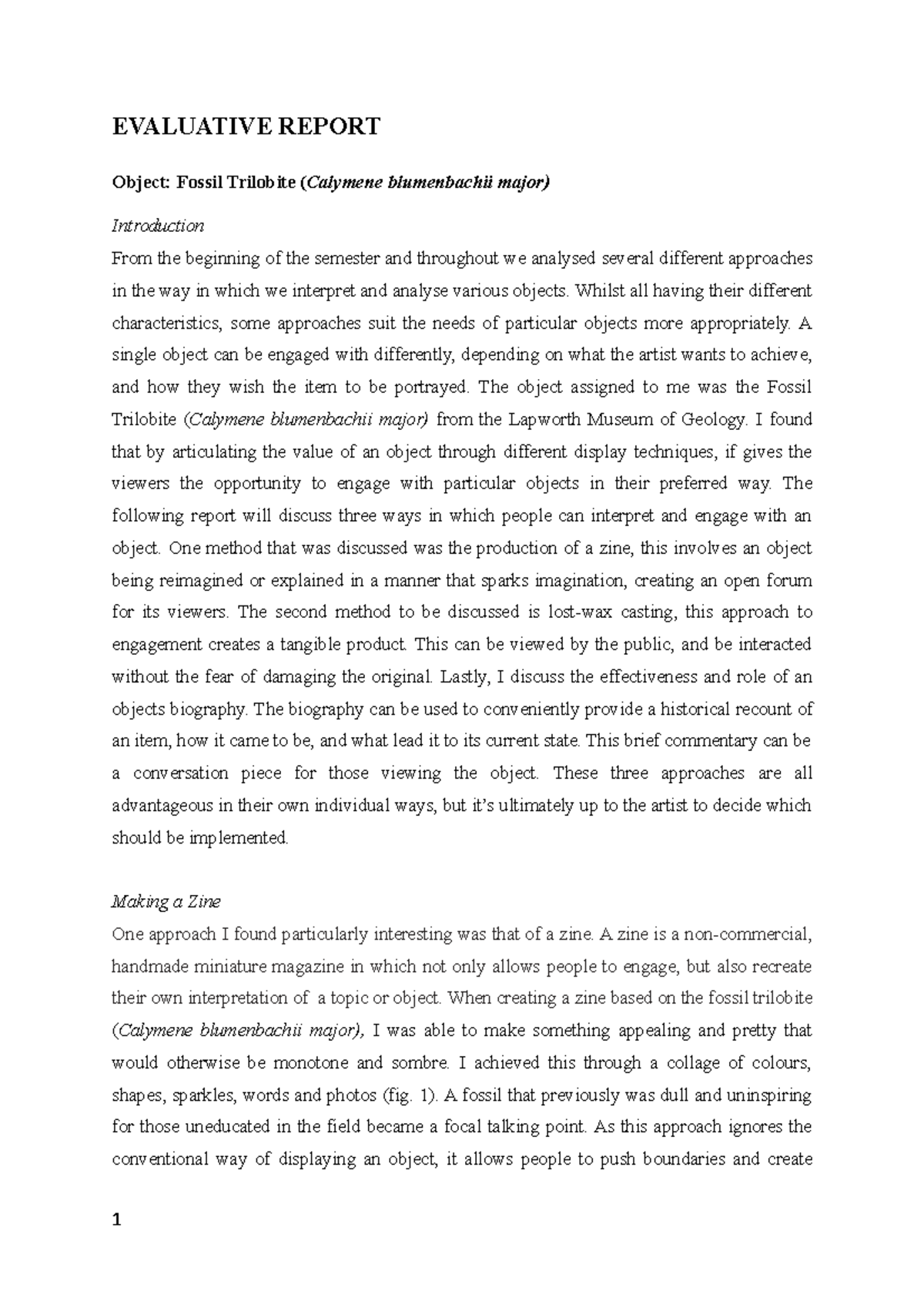 Evaluative Report & Portfolio - EVALUATIVE REPORT Object: Fossil ...
