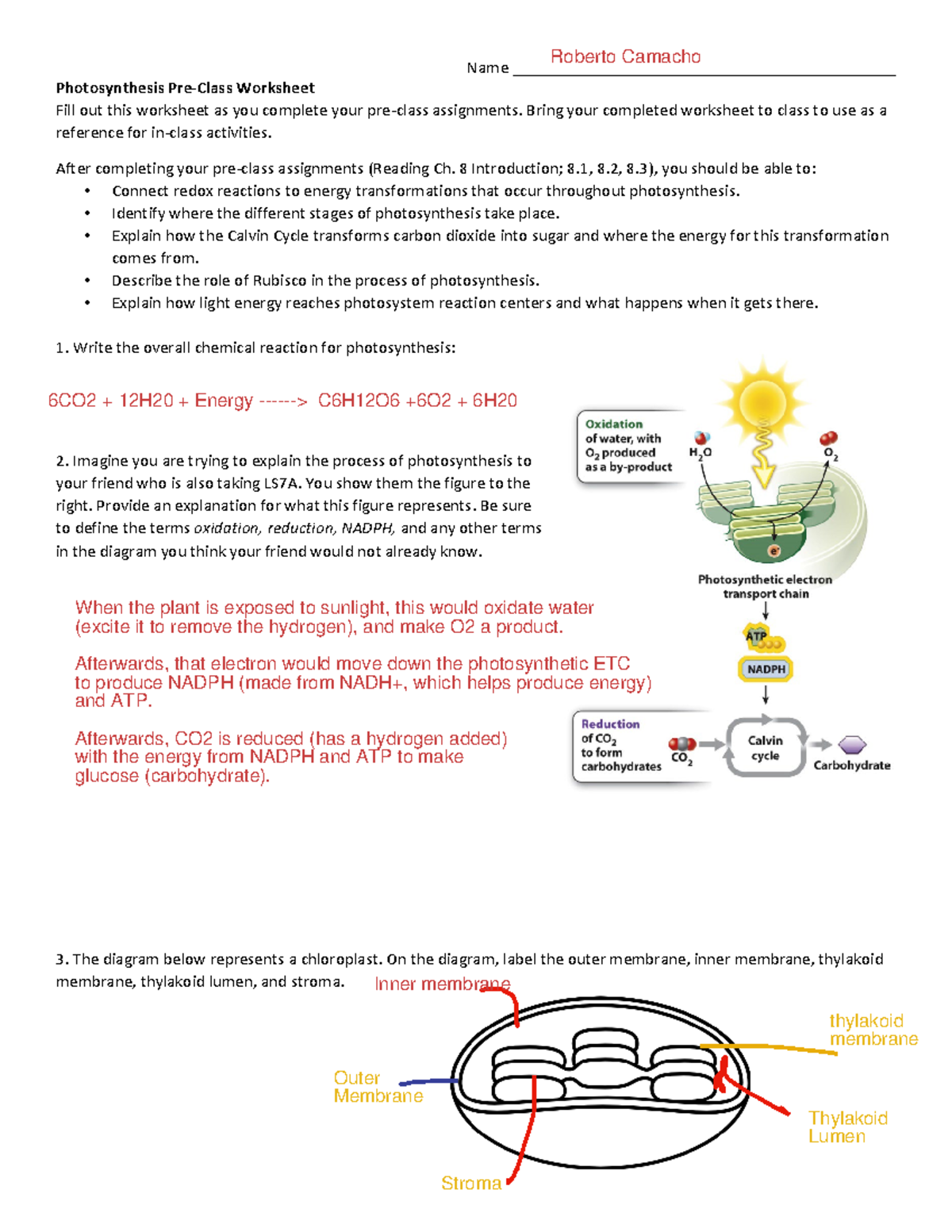 (NEW) LS7A Week 4B Pre-Reading Guide - Name
