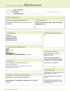 Active Learning Template Basic Concept - ACTIVE LEARNING TEMPLATES ...