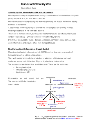 Uo W Medical Assessment Clerking Proforma A4 - Medical Assessment ...