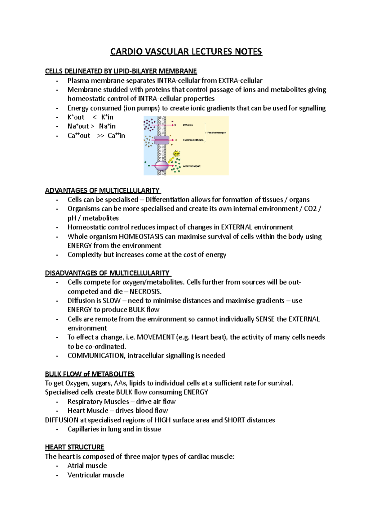 Cardio Vascular system lecture notes - CARDIO VASCULAR LECTURES NOTES ...
