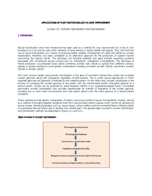 fake logo detection system - Fake Logo Detection System 1) Background ...