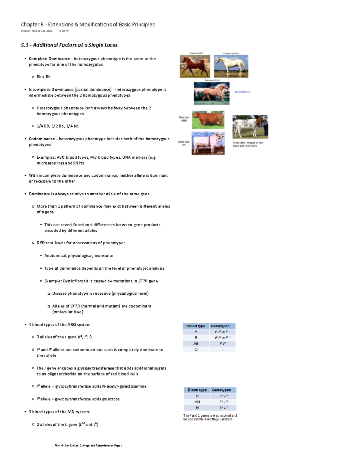 Extensions And Modifications Of Basic Principles at Tonya Darlene blog