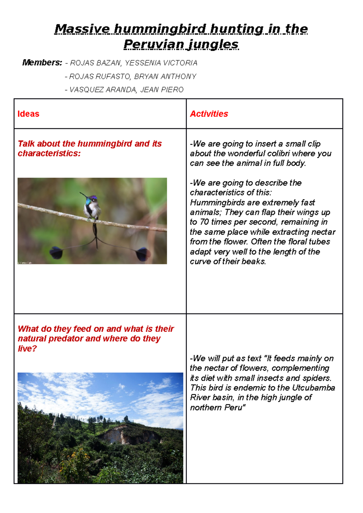 Final Project Written work team 5 - Massive hummingbird hunting in the ...
