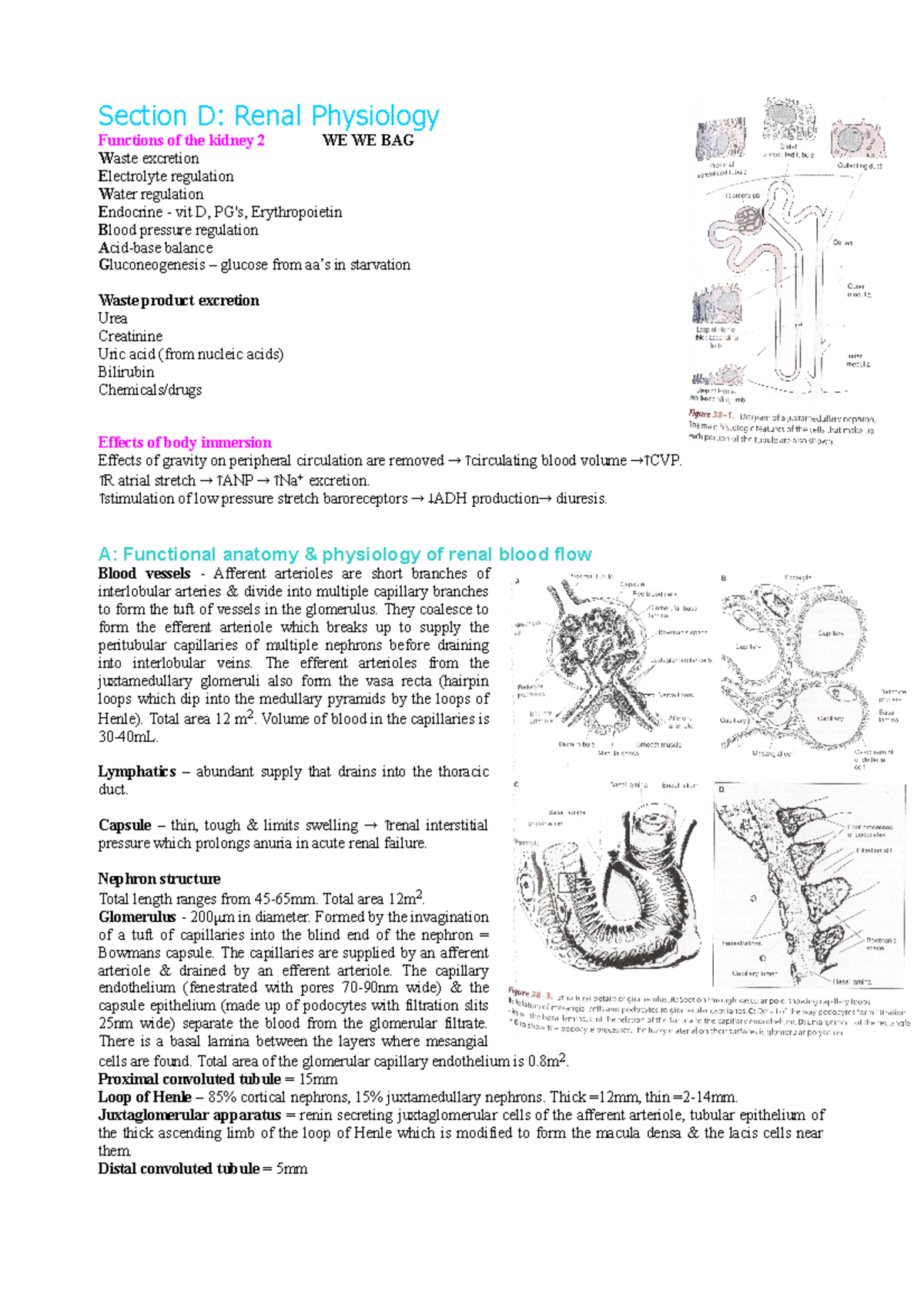 Renal physiology lecture notes - Section D: Renal Physiology Functions ...