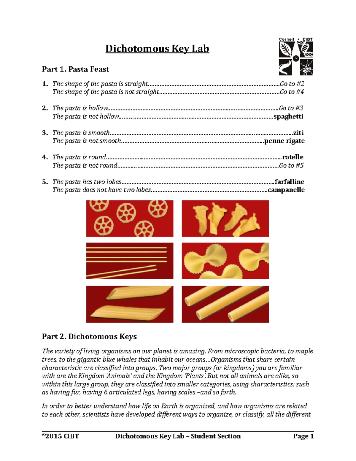 Dichotomous Key - BIOL 102 - Dichotomous Key Lab Part 1. Pasta Feast ...