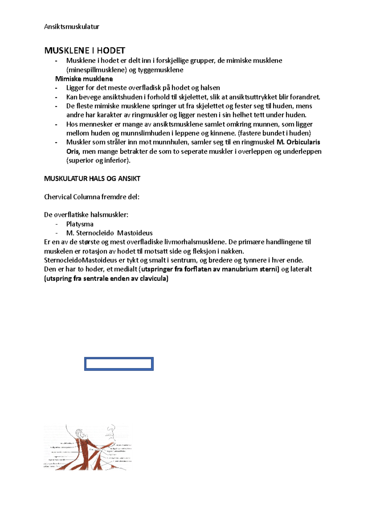Ansiktsmuskulatur - MUSKLENE I HODET Musklene i hodet er delt inn i ...