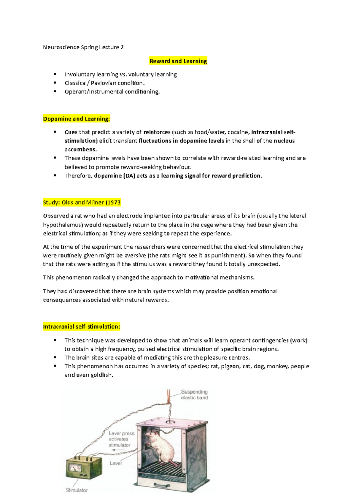 Neuroscience Spring Lecture 2 Reward and Learning - voluntary learning ...
