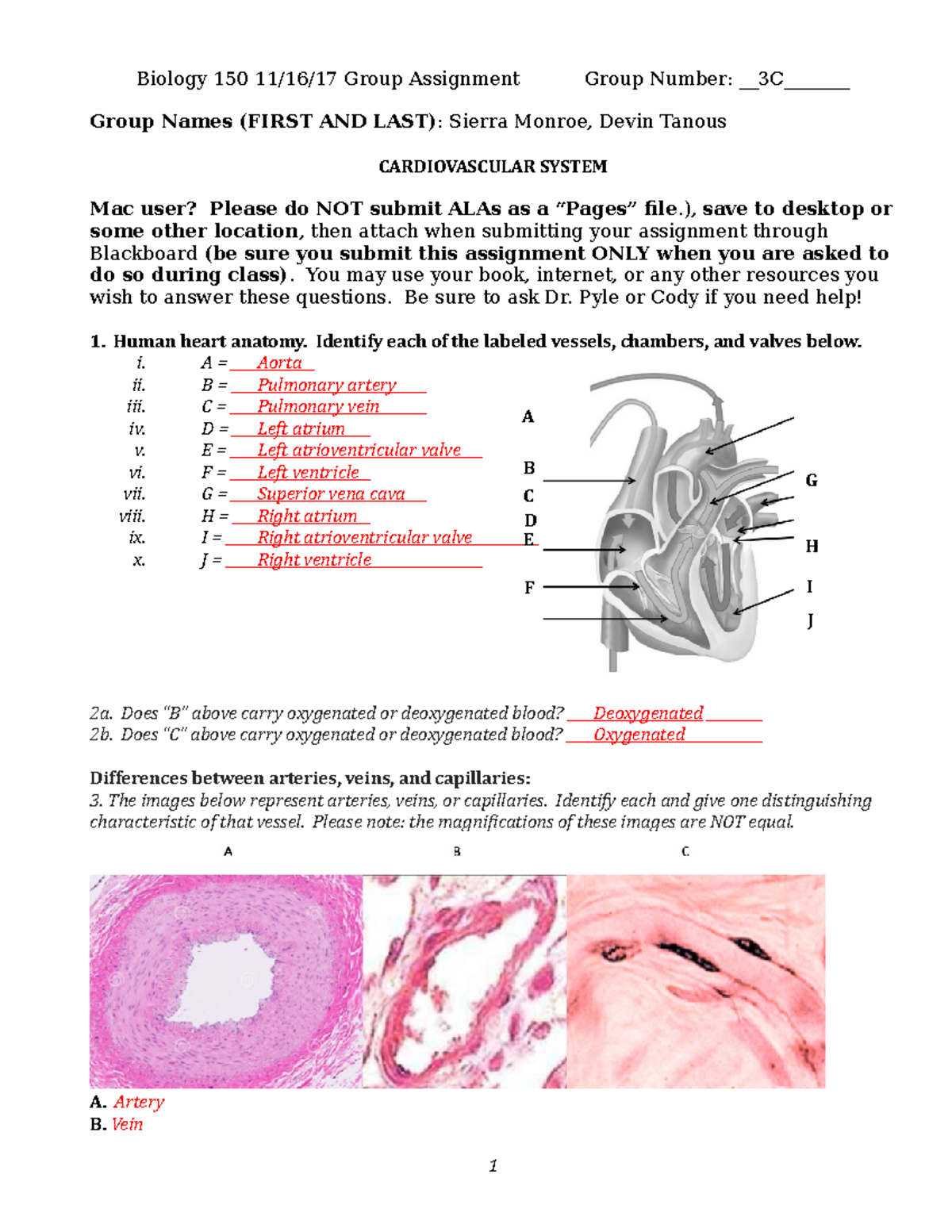 Chapter 42-2 Group Assignment BIOL 150 - Biology 150 11/16/17 Group ...