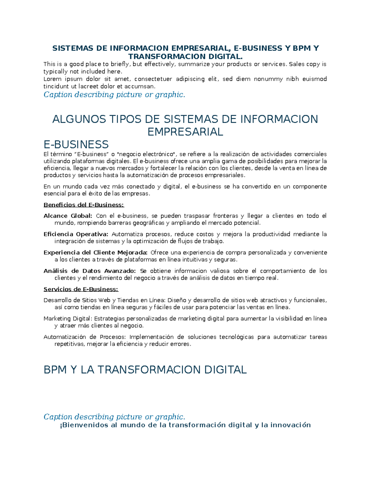 Grupo D - Resumen gerencia proyectos - SISTEMAS DE INFORMACION EMPRESARIAL, E-BUSINESS Y BPM Y ...