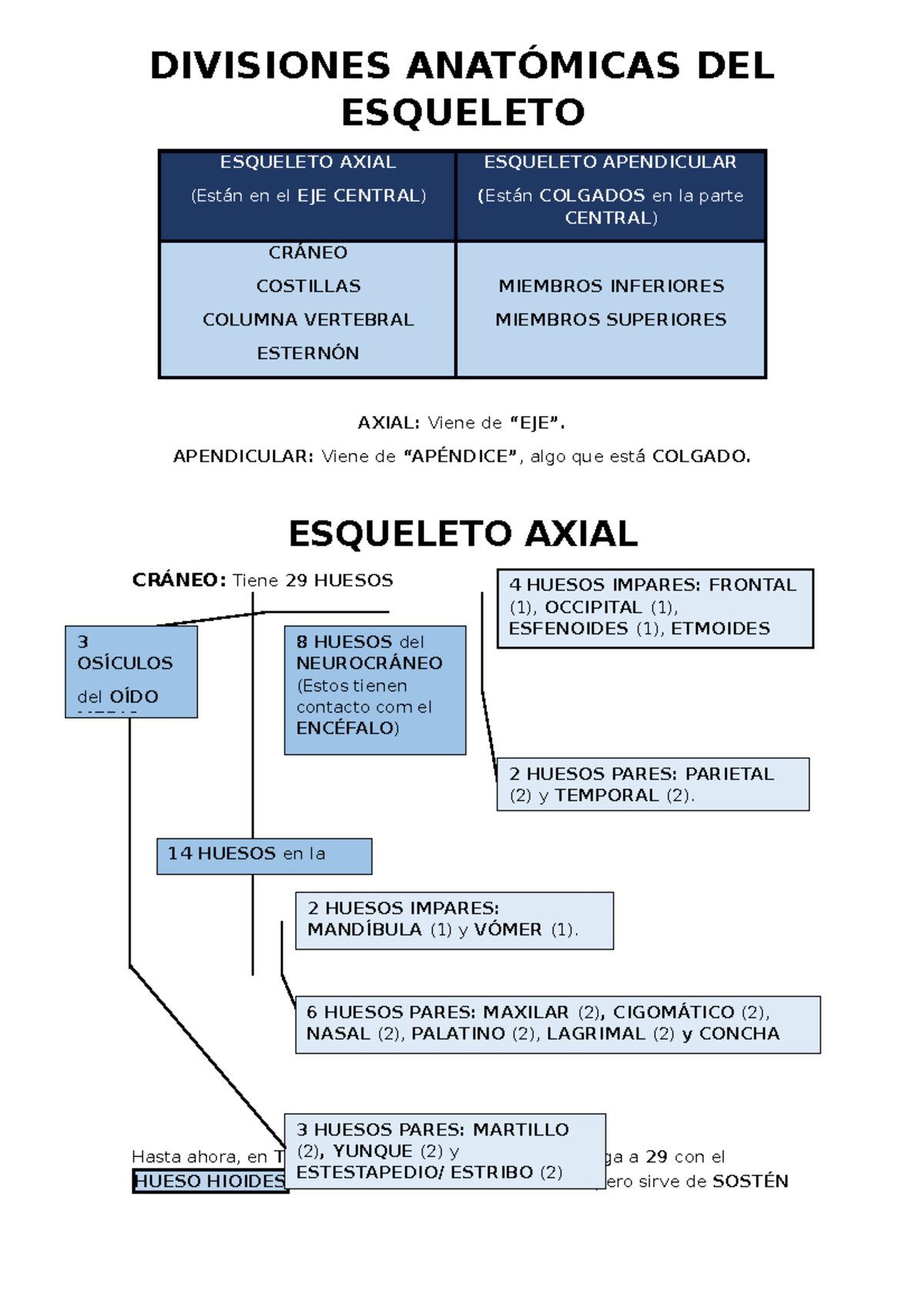 Divisiones Anatómicas DEL Esqueleto - DIVISIONES ANATÓMICAS DEL ...