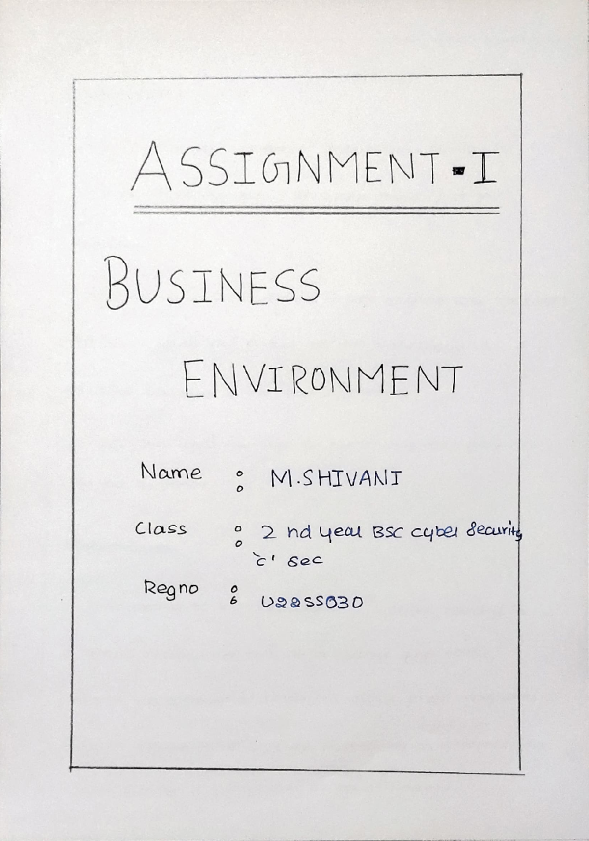 BE assignment 1 - Summary Software - A55IGNMENT-I BUSINESS ENVIRONMENT ...