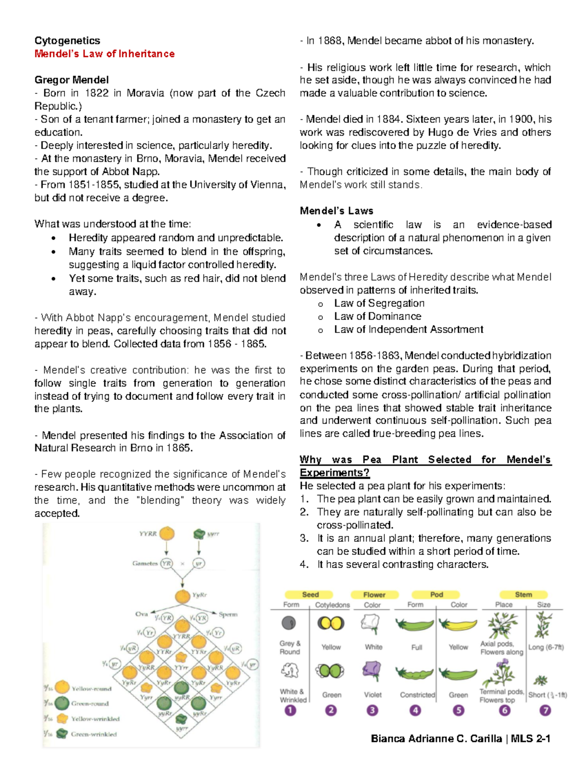 Cytogenetics - Mendel's Law of Inheritance - Cytogenetics Mendel’s Law ...