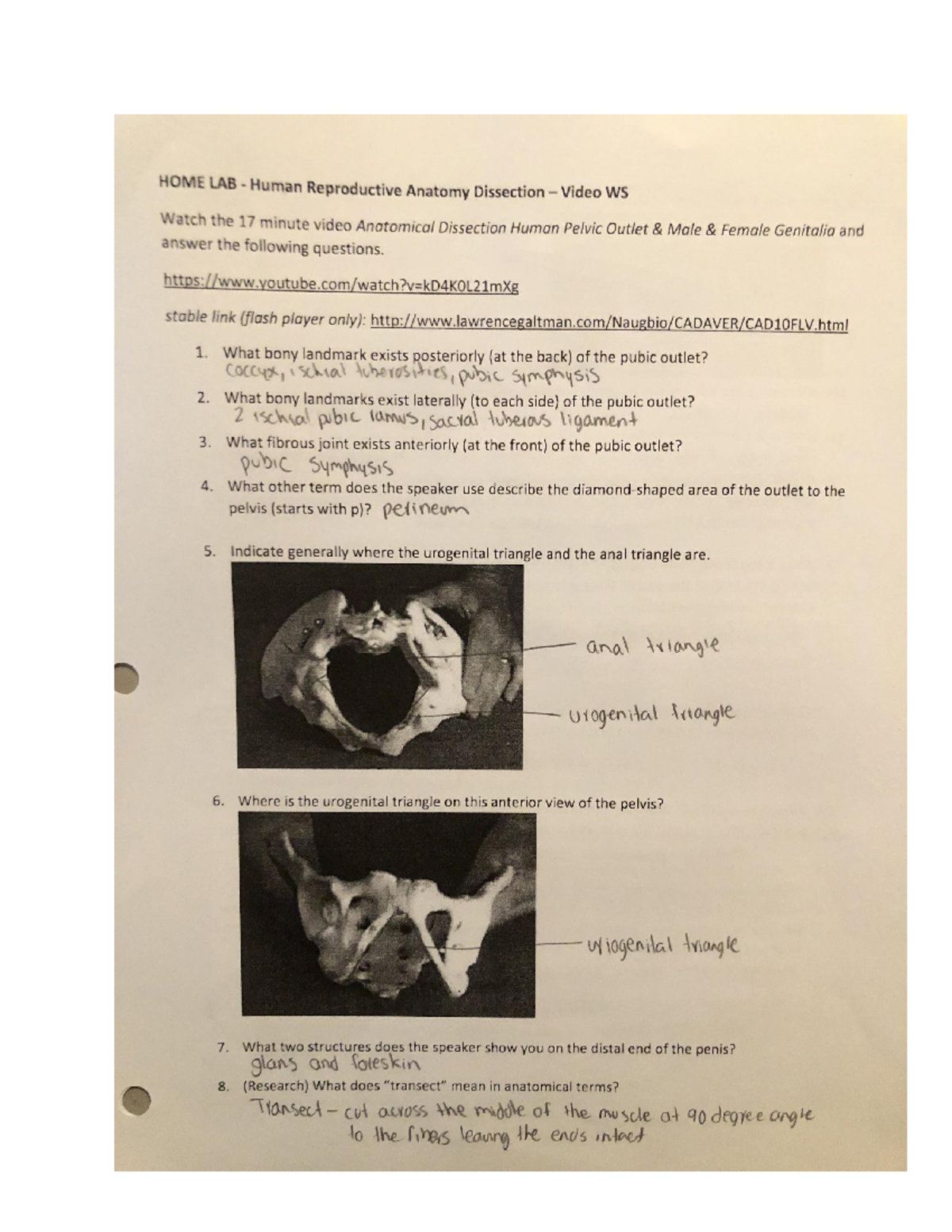 Human Reproductive Dissection Video WS - BIO-202-005 - Studocu